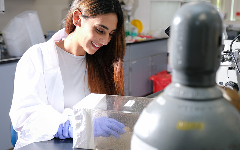 Community College Students Dive Into STEM Summer Research in CSUF Labs ...