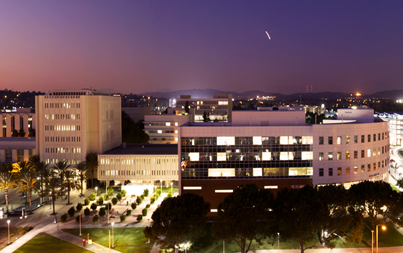 Fall Chair Appointments Announced | CSUF News