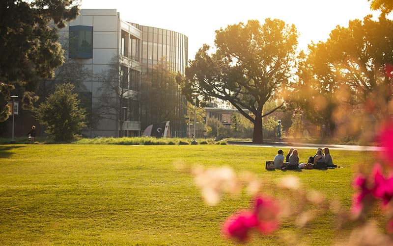 Faculty and Staff Awarded Nearly $3 Million in Grants, Contracts | CSUF ...