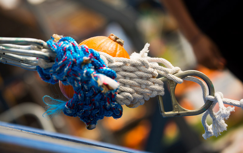 Pumpkin Launch Nov. 4 Features Soaring Gourds, STEM Fun | CSUF News