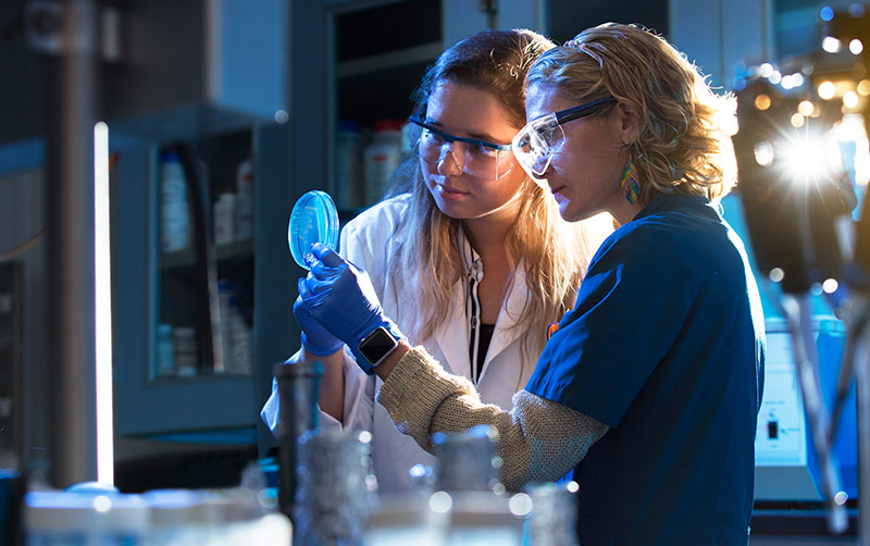 Pollak Library’s Spring Noontime Talks Postponed Until Fall | CSUF News