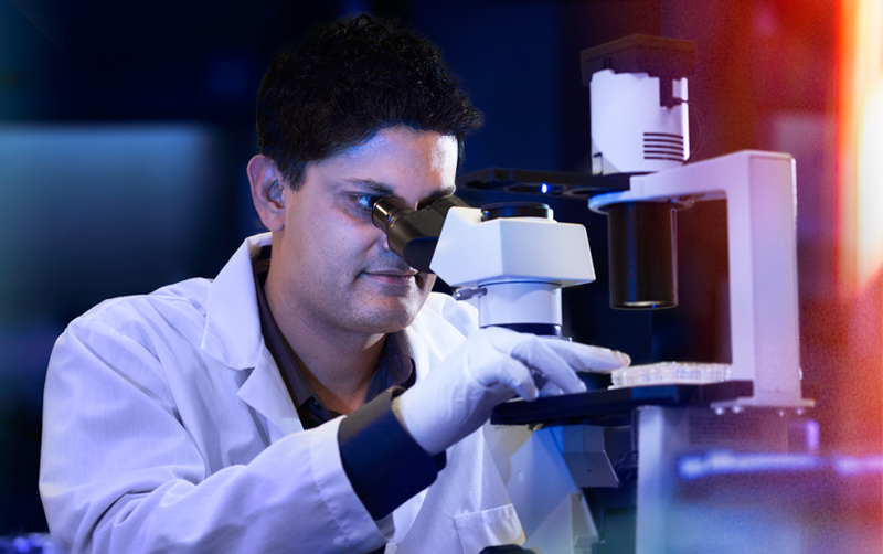 CSUF Awarded $3 Million Grant to Train Stem Cell Scientists | CSUF News