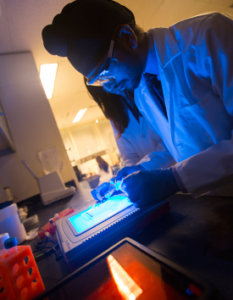 CSUF Awarded $3 Million Grant to Train Stem Cell Scientists | CSUF News