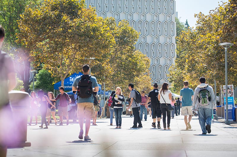 New Courses, Faculty and Changes in the Library Greet the Fall Semester ...