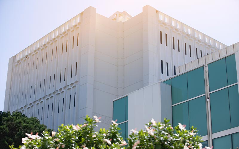 Titan Faculty Share Research and Receive Honors | CSUF News