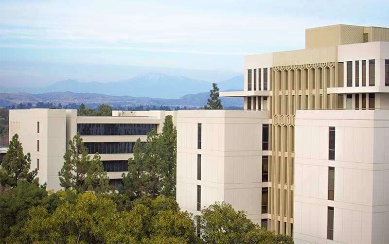 Experts in Pop Culture and Politics Join College of Humanities, Social ...