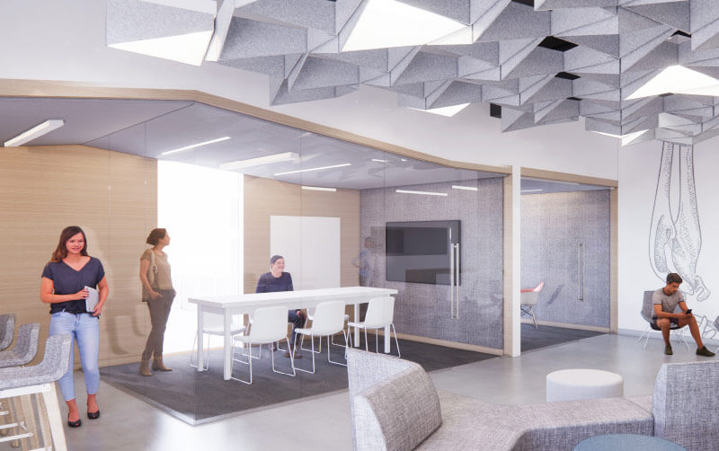 McCarthy Hall Modernization Project to Put ‘Science on Display’ | CSUF News