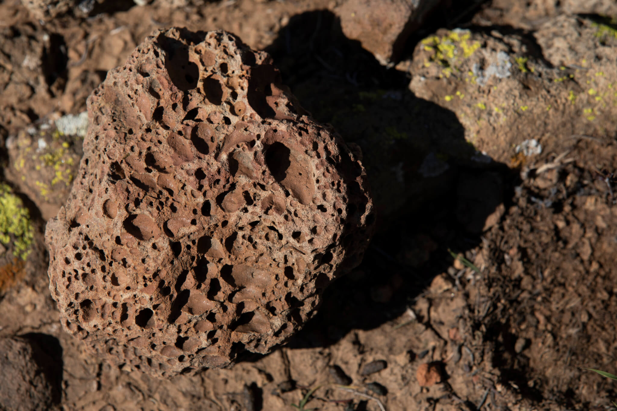 Geologists Identify Rock Source of Native American Cogged Stones From ...