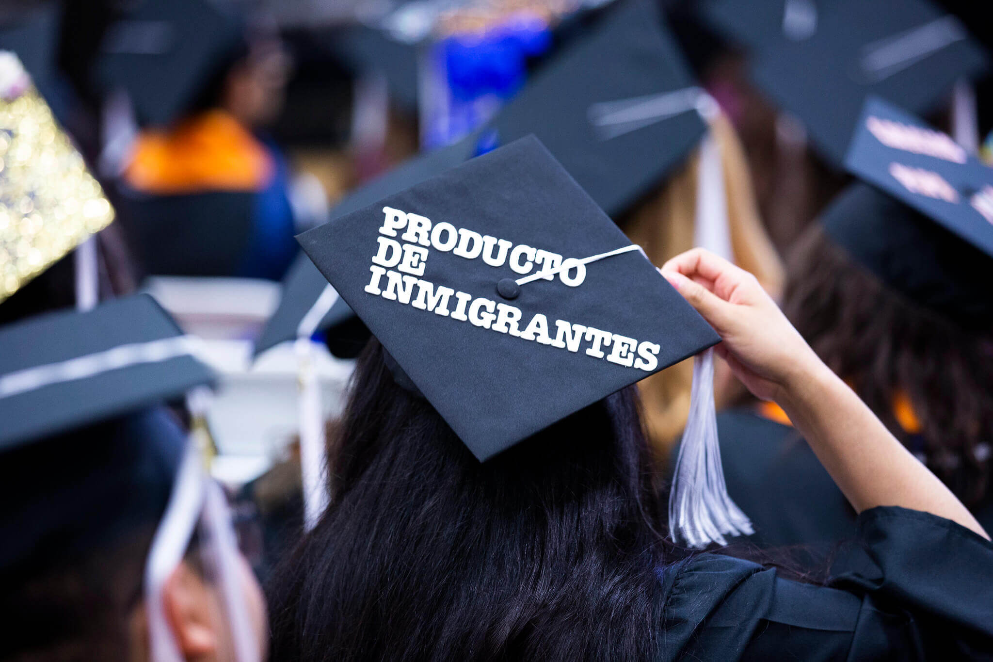 How Undocumented Students are Faring in California’s Public ...