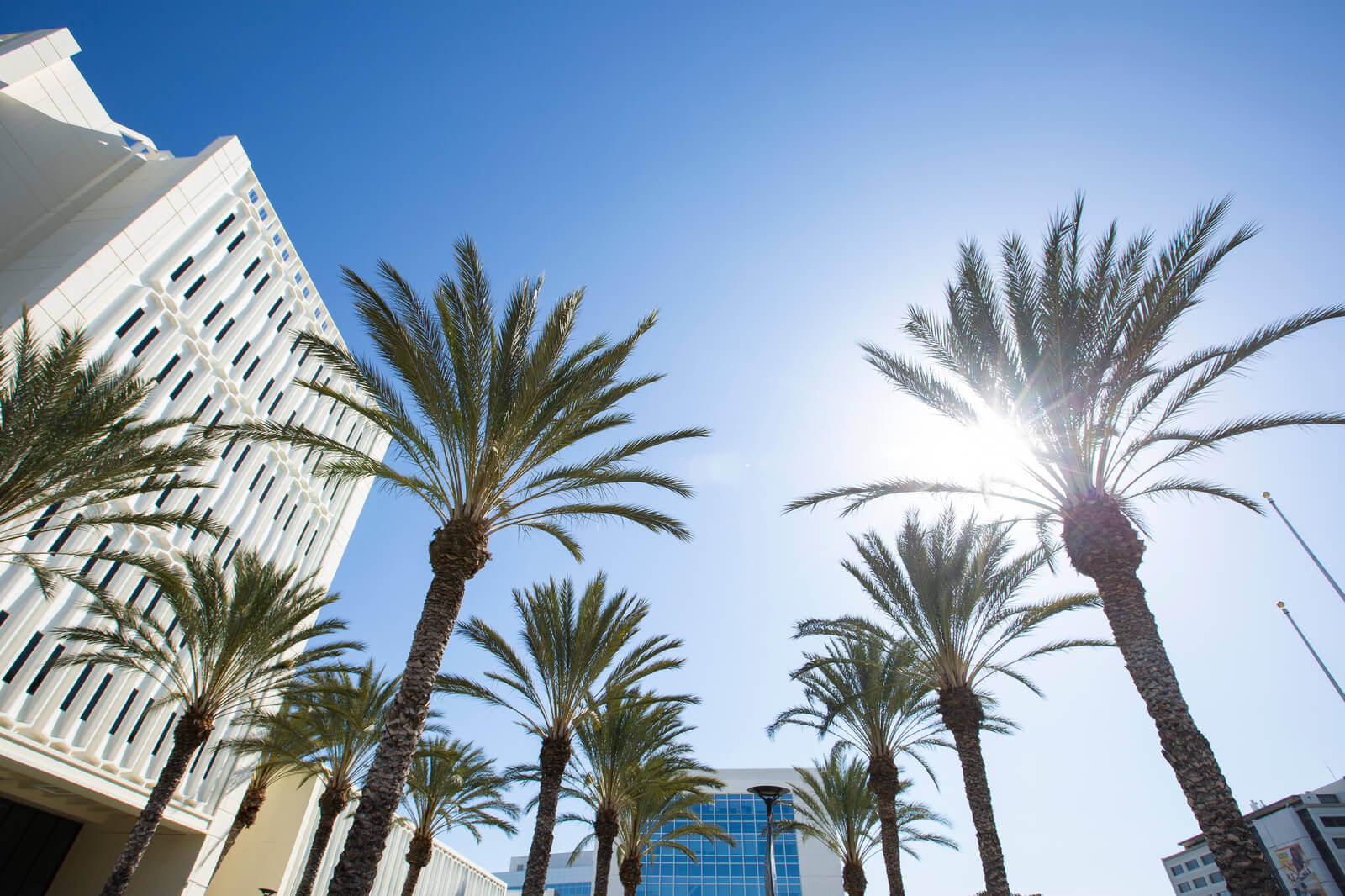 University Celebrates Faculty and Staff at 2021 University Awards ...