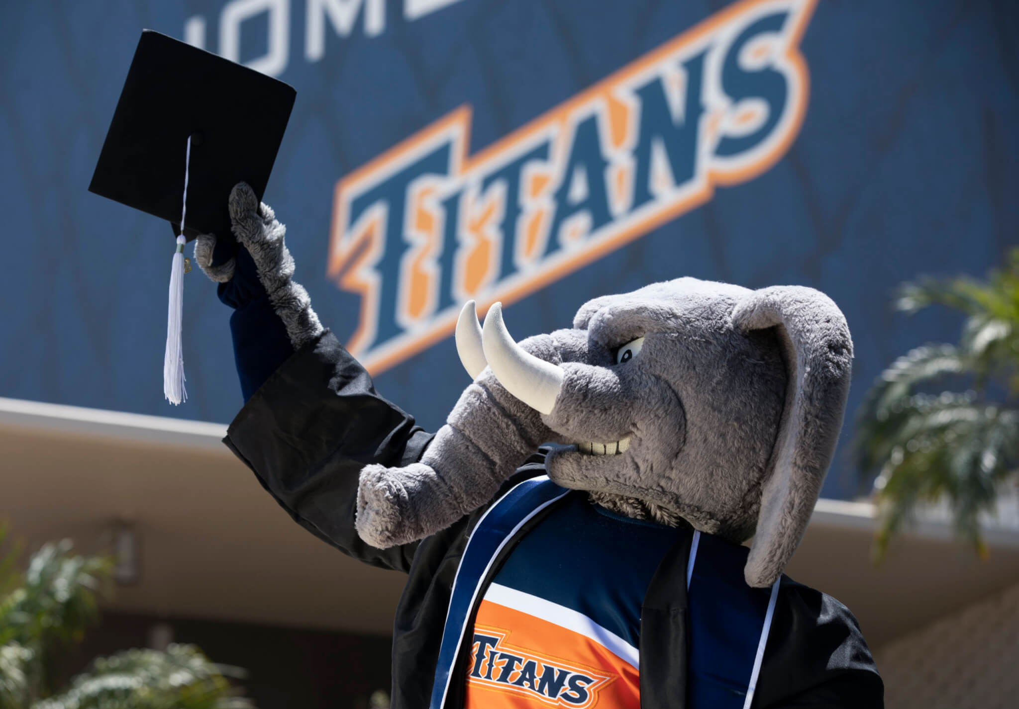 Financial Aid Helps Nearly 1,000 Persist Toward a Degree | CSUF News