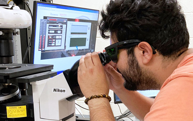 Student Researchers Win Multiple Awards at CSU Student Research ...