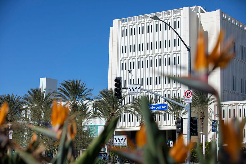 University Announces Faculty Tenure and Promotions | CSUF News