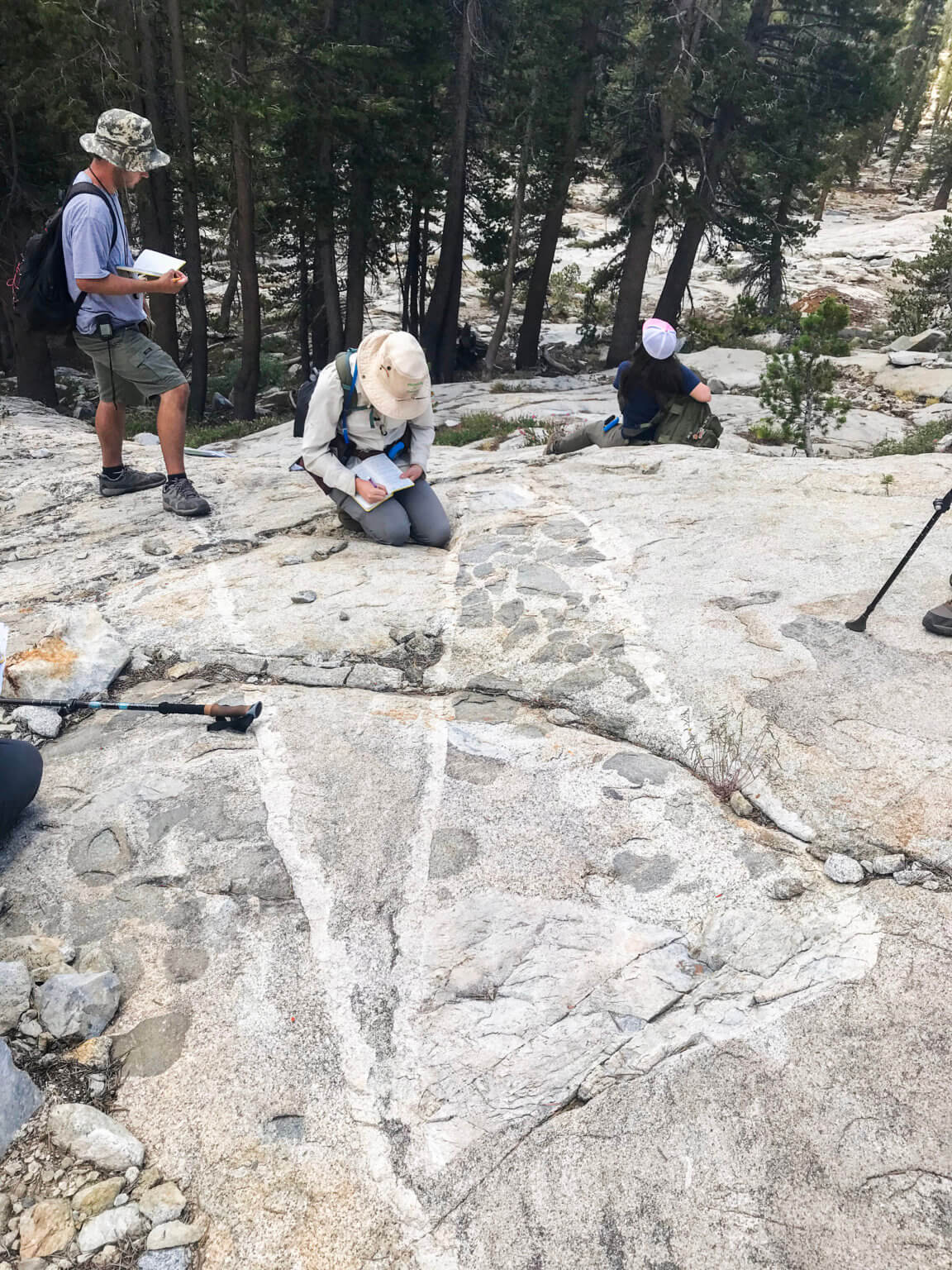 Geology Students Investigate Ancient Volcano System Near Yosemite ...