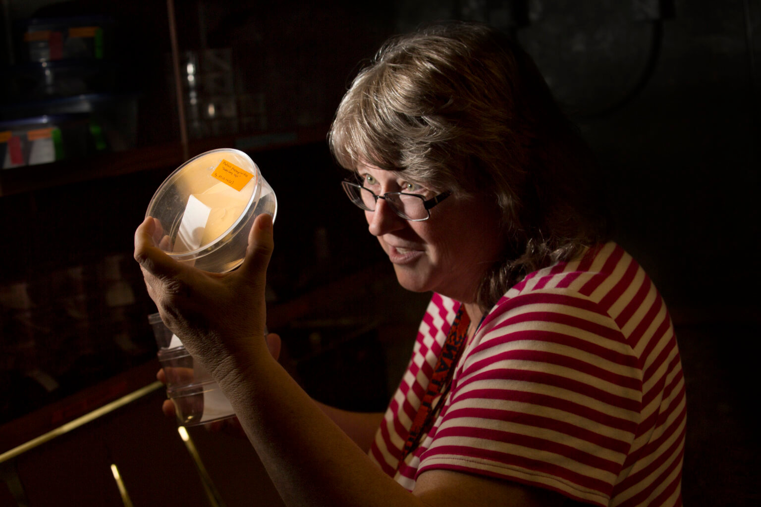 ‘Think Like Einstein’ Professor Lauded for Campus Collaboration | CSUF News