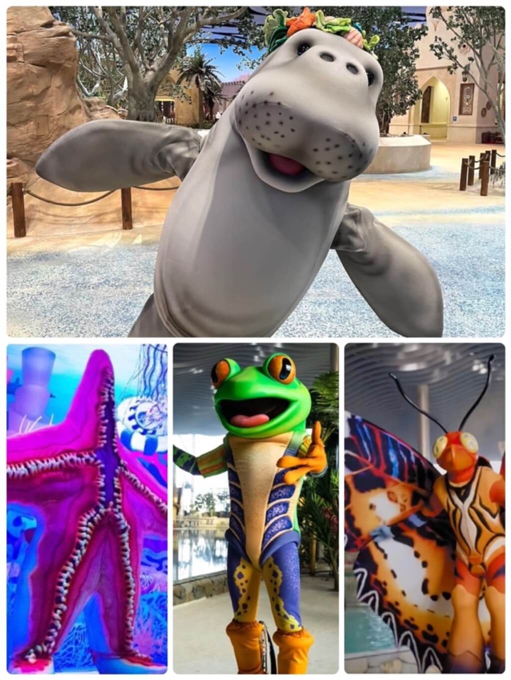 From Disneyland to Universal Studios and Beyond: Alumna Creates Magic ...