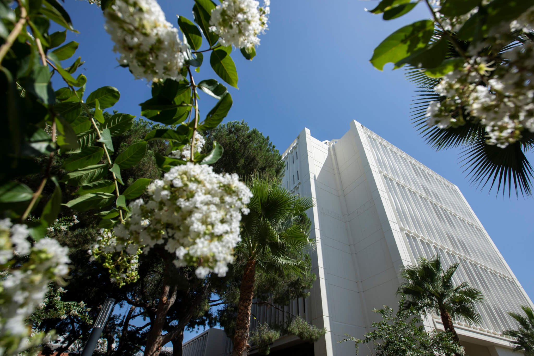 Cal State Fullerton Continues Philanthropic Momentum to Close Year With ...