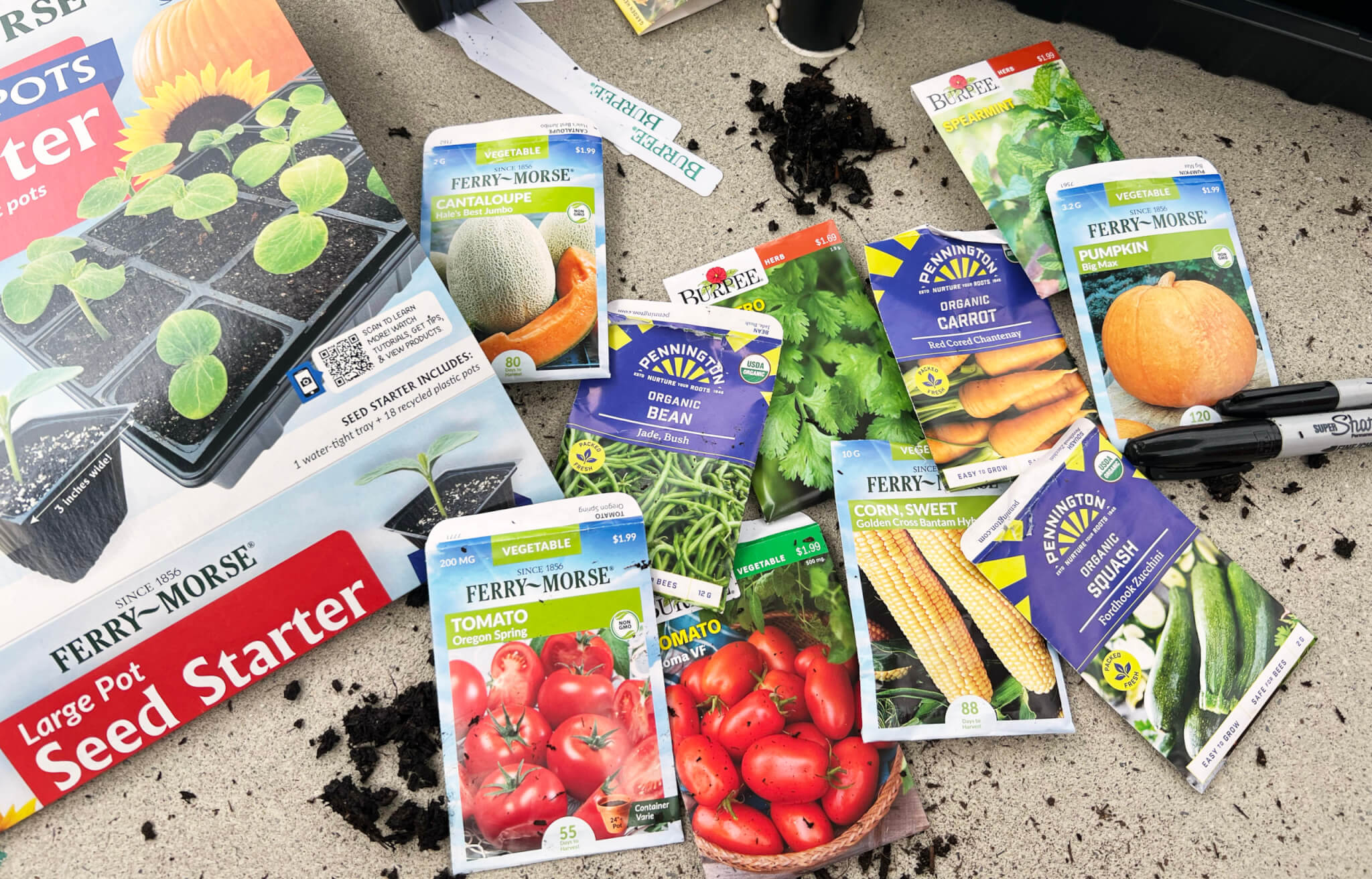 Putting Research Into Practice: Public Health Students Create Change in ...