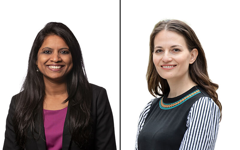 Engineering and Biological Science Faculty Honored With Student Writing ...
