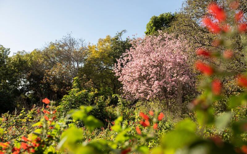 Biology Students Design Posters to Learn About Arboretum Wildlife ...