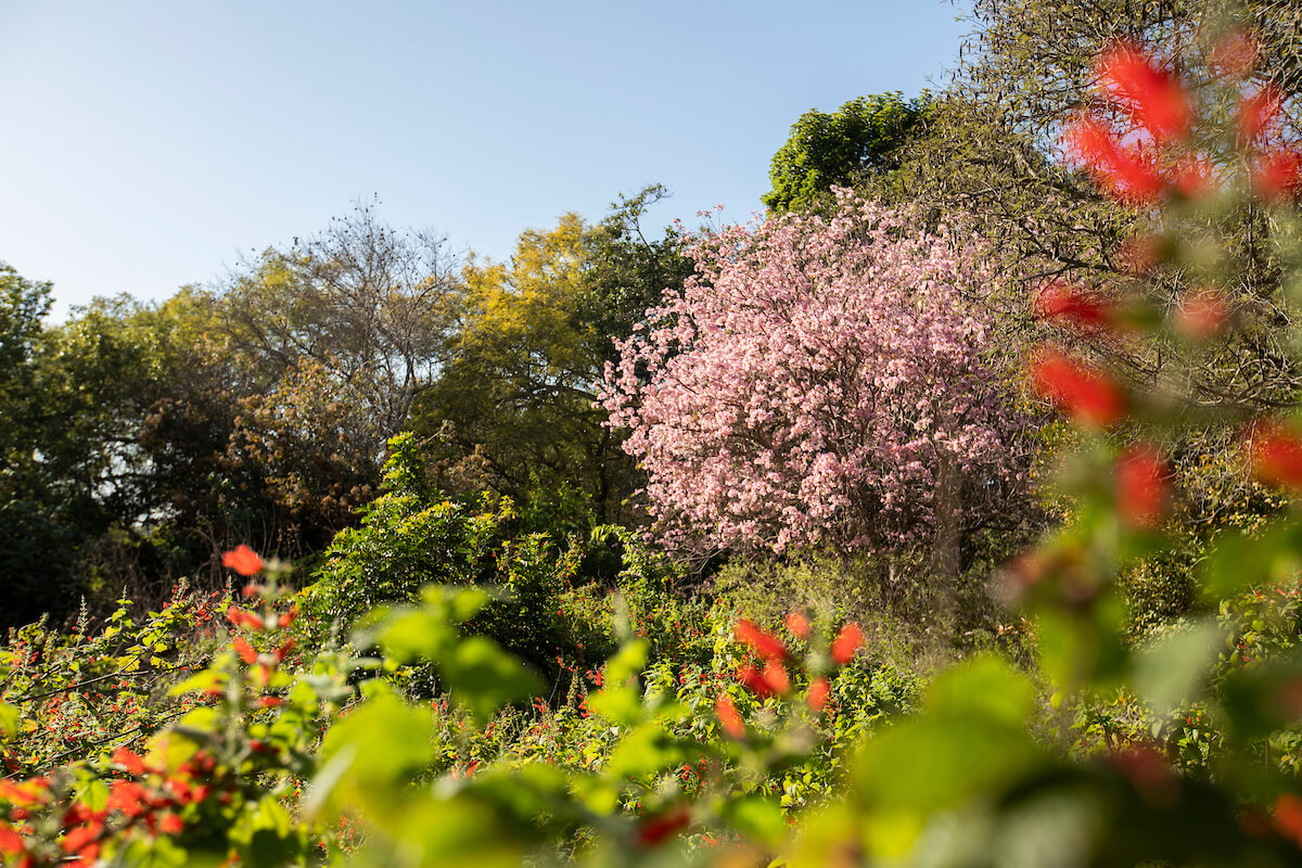 Biology Students Design Posters to Learn About Arboretum Wildlife ...